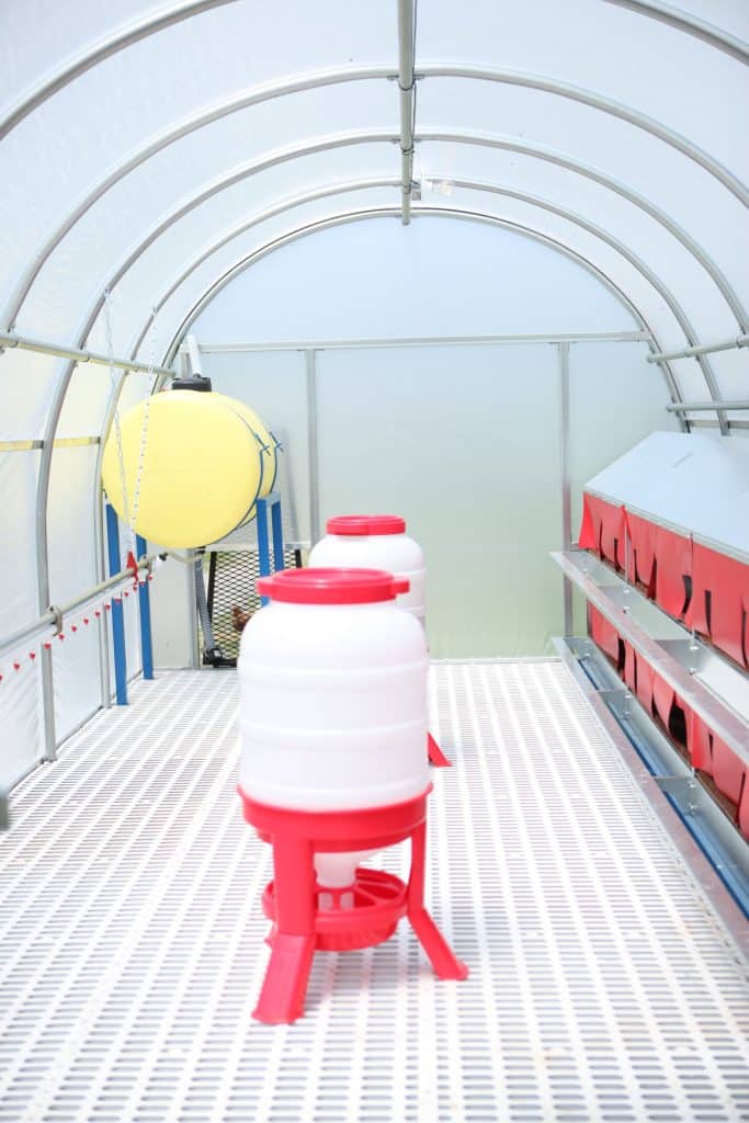 Efficient Egg Production for 300 Laying Hens | The Mobile Chicken House