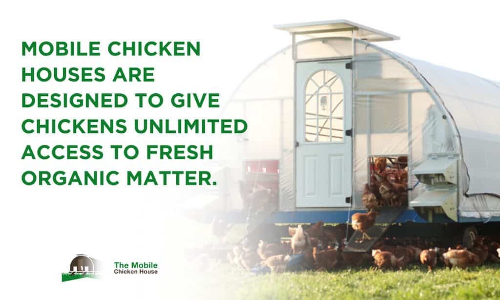 Mobile Pastured Eggs: Everything You Need To Know