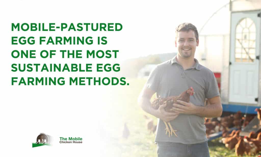 Mobile Pastured Eggs: Everything You Need To Know