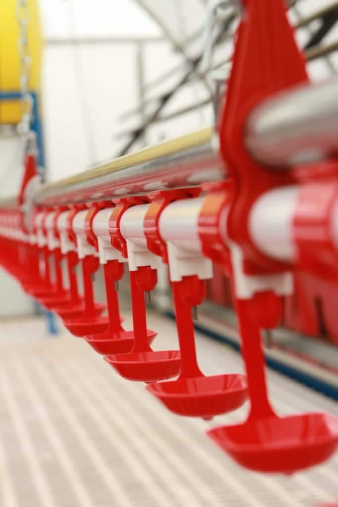 Mobile Chicken House Model 650