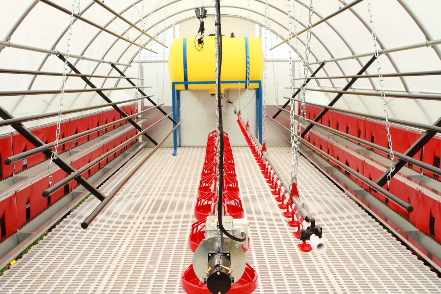 High-Volume Egg Production for 650 Laying Hens | The Mobile Chicken House