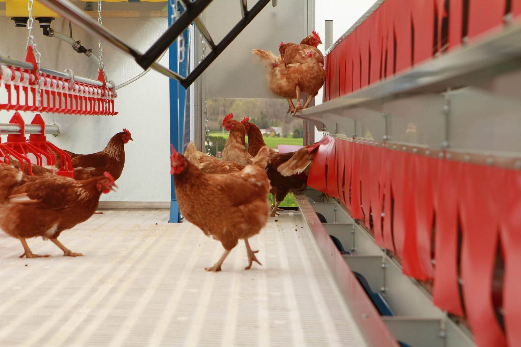 Mobile Chicken House Model 650