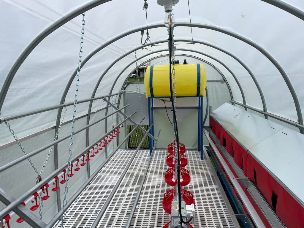 Efficient Egg Production for 300 Laying Hens | The Mobile Chicken House