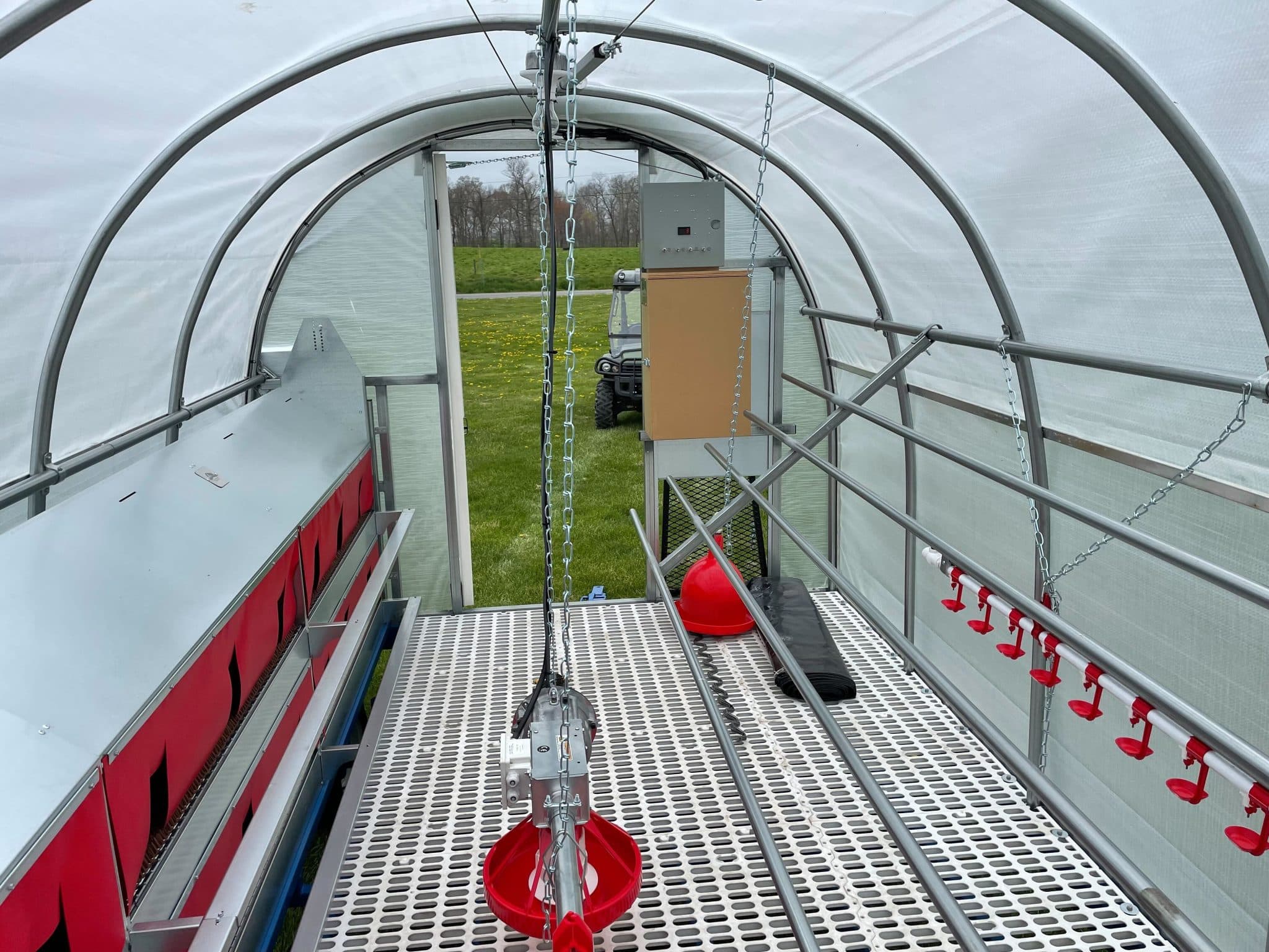 Efficient Egg Production for 300 Laying Hens | The Mobile Chicken House