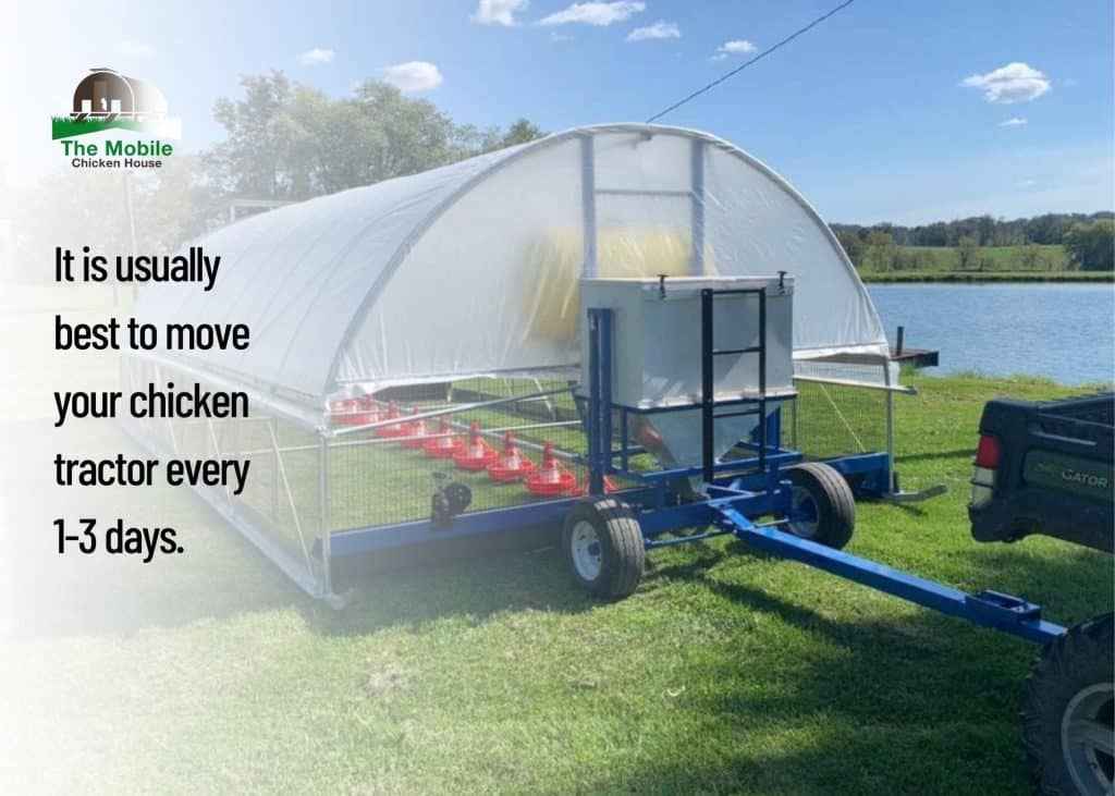 We Answered The Top 11 Questions About Mobile Chicken Coops