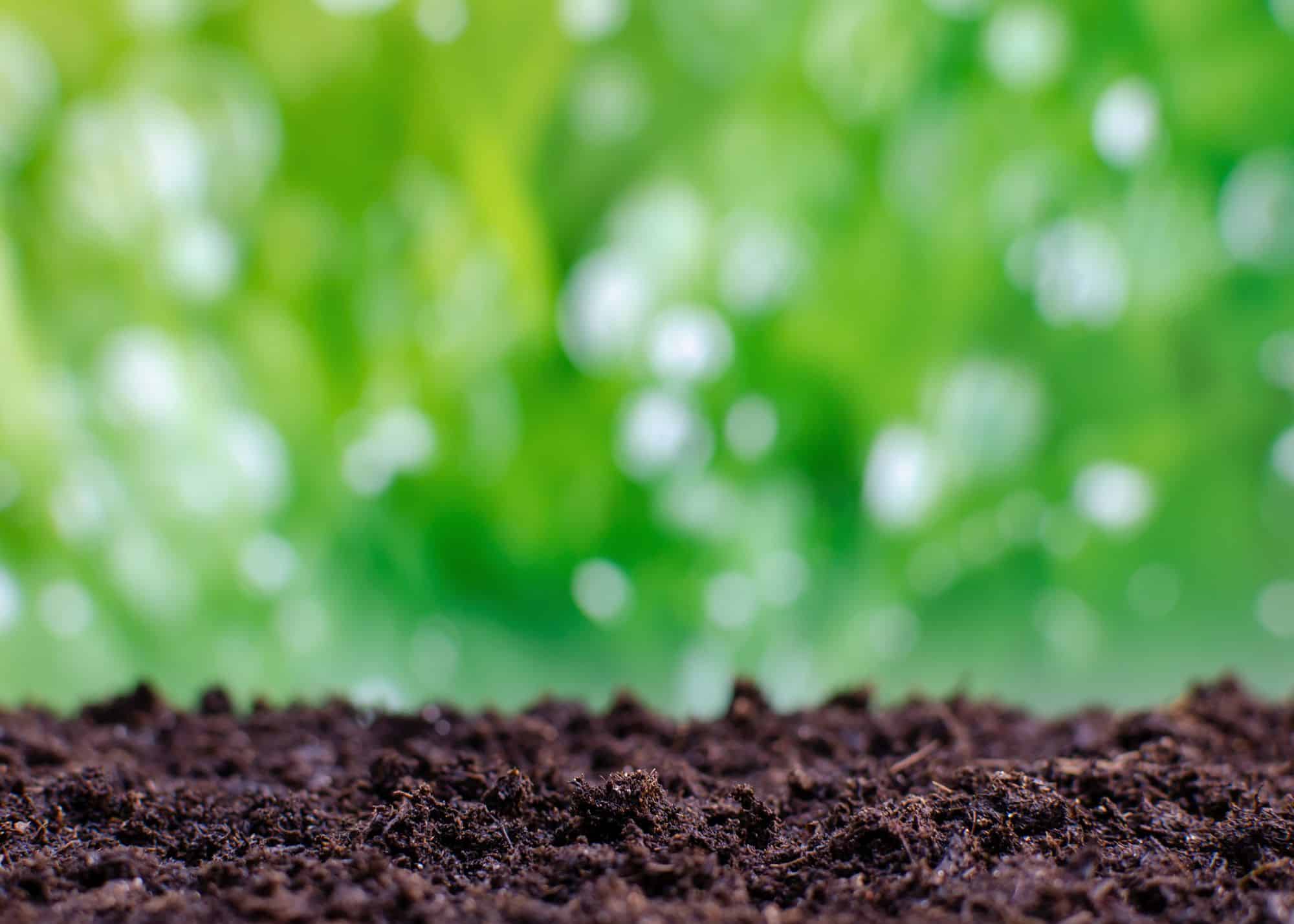 Reinvigorate Your Soil: Unleashing the Power of Fertile Ground with ...