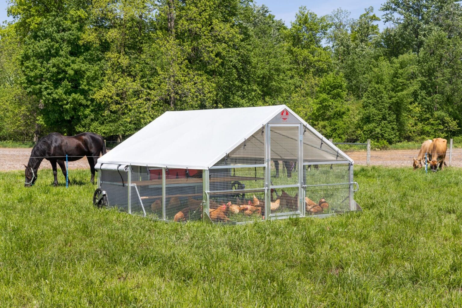 10x12 Alumi Portable Chicken Coop - The Mobile Chicken House