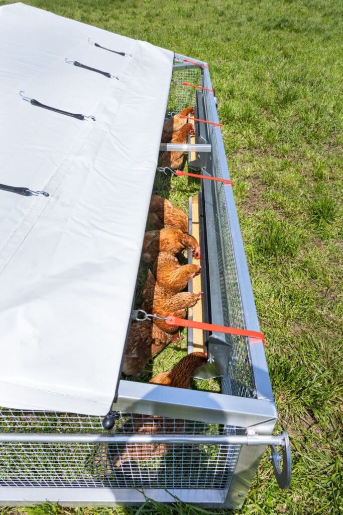 12x12 Alumi Portable Chicken Coop - The Mobile Chicken House