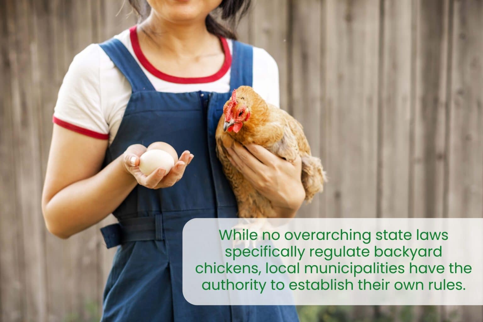 A Comprehensive Guide to Keeping Backyard Chickens in Pennsylvania